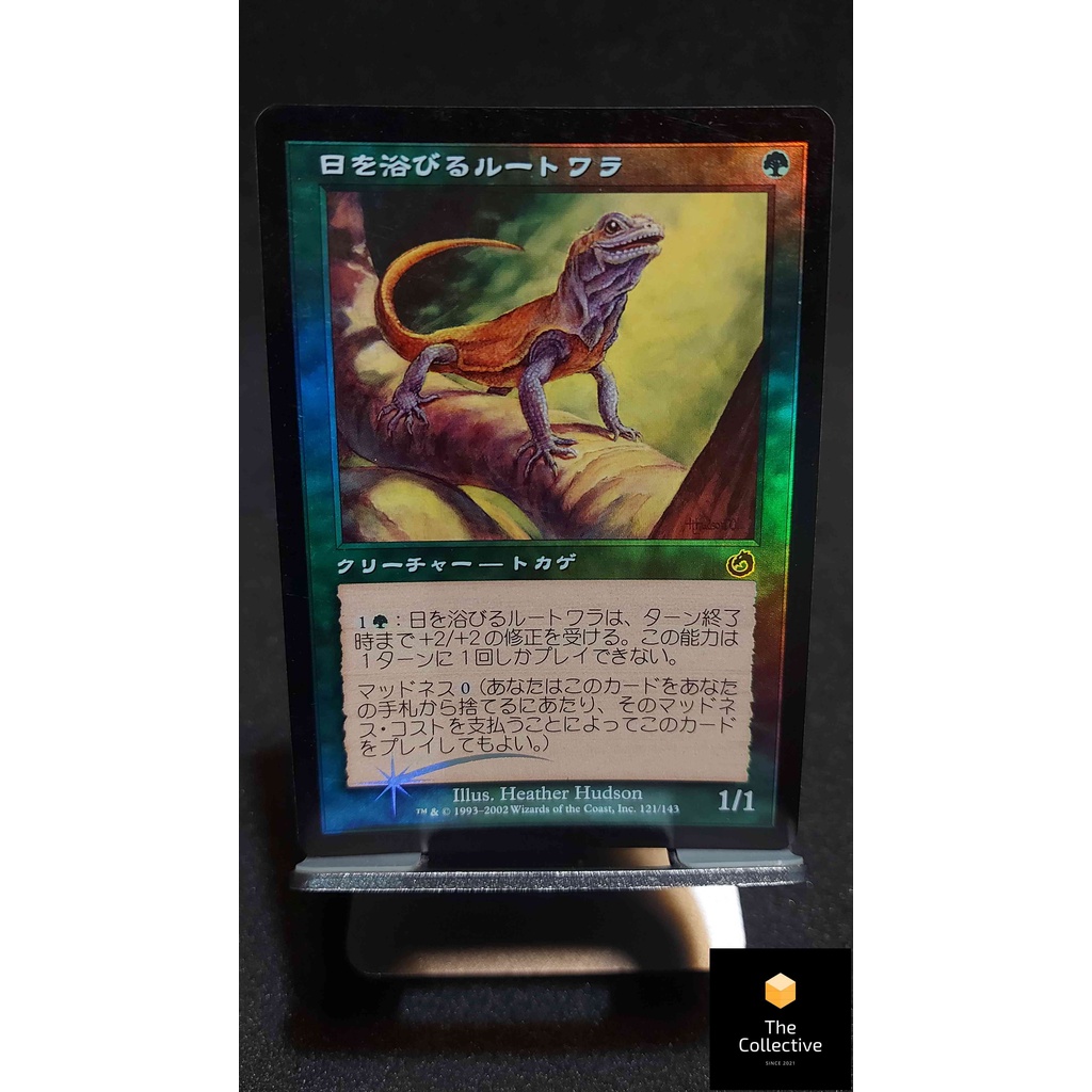 Magic the Gathering - MTG Card Game - Basking Rootwalla - Torment ...