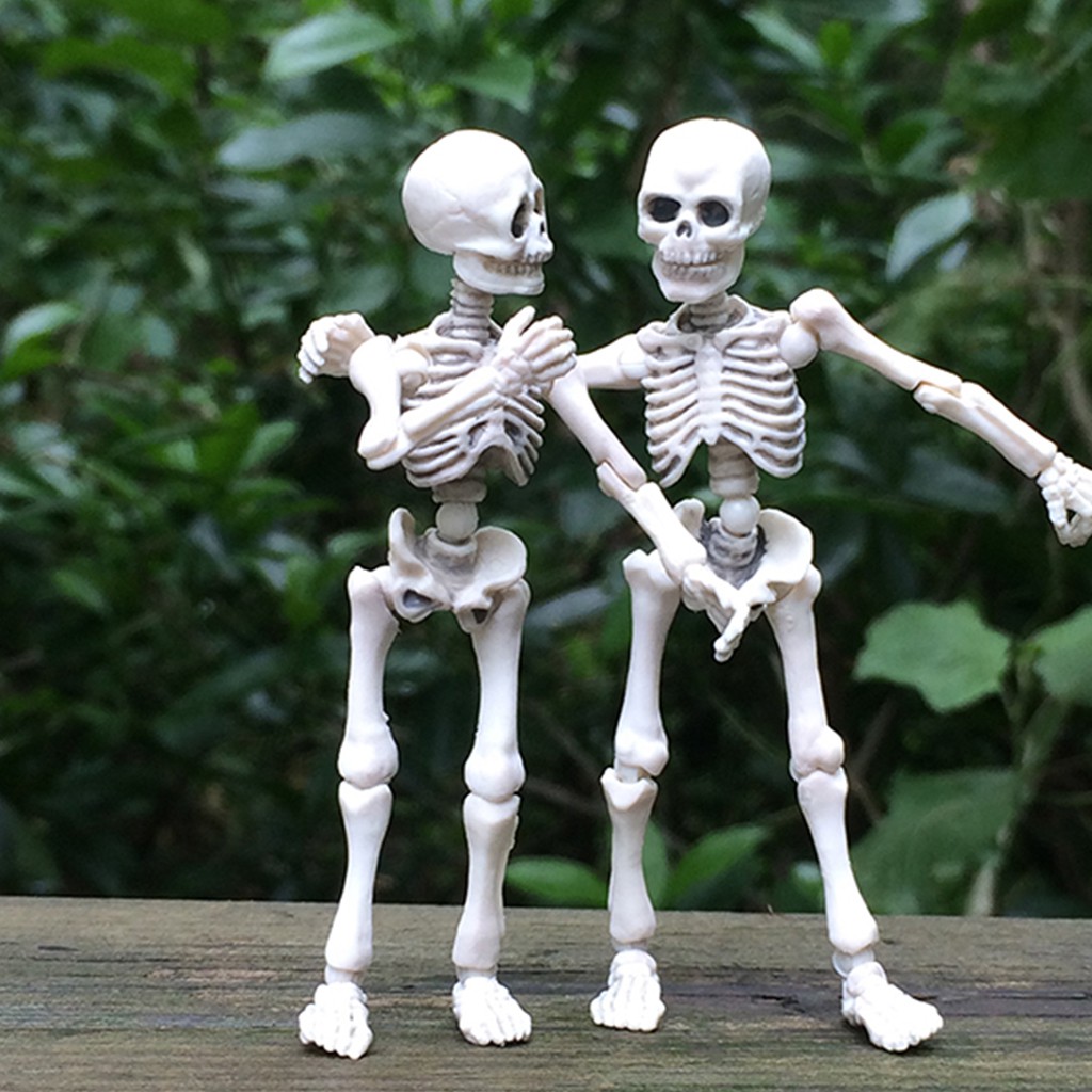 Movable Mr. Bones Skeleton Human Model Skull Full Body Mini Figure Toy ...