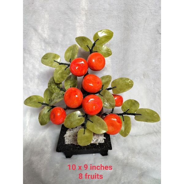 Kiat kiat Money Tree for wealth abundance & prosperity (8 fruits ...