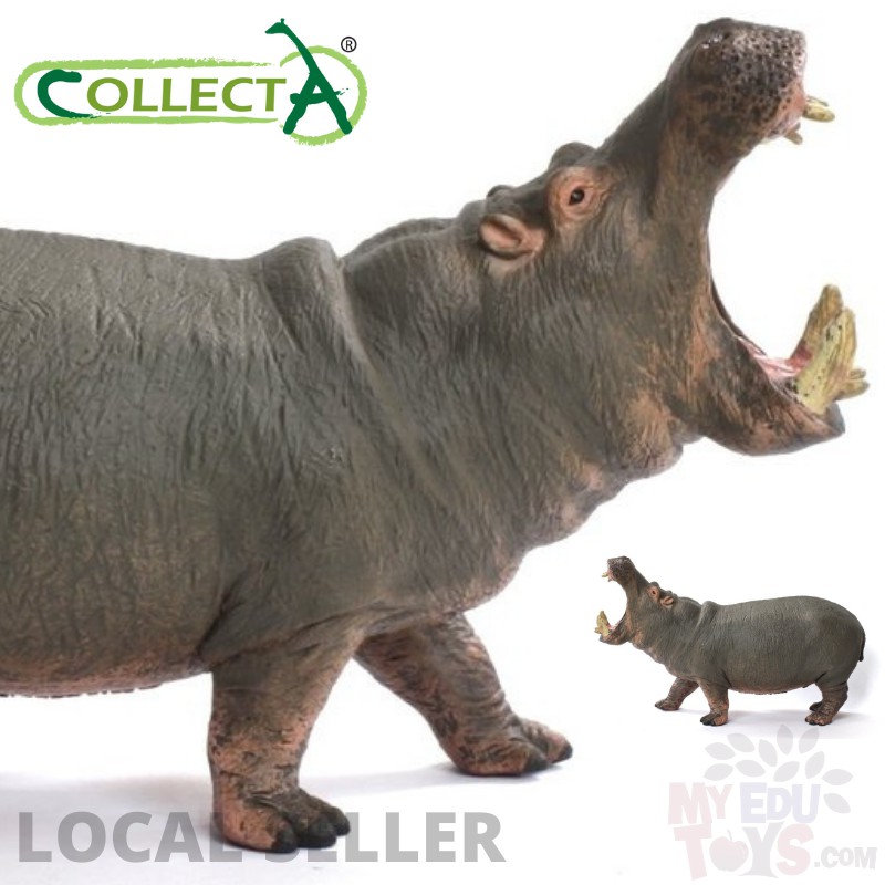 Hippopotamus - CollectA 88833 Wild Life Animal Action Figures/Figurine ...