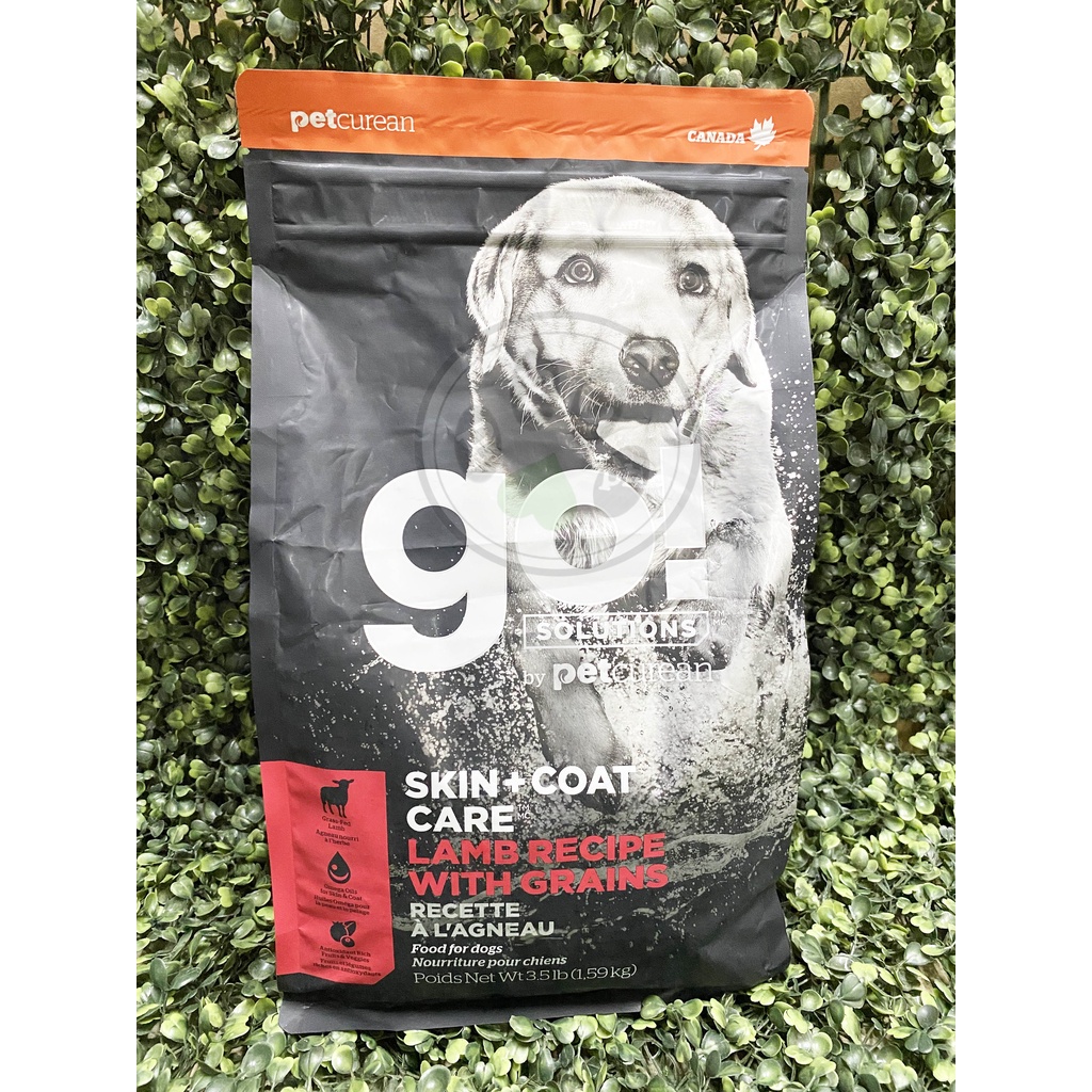 Go! Solutions Skin Plus Coat Care Lamb Recipe Dog Food 1.59kgs Original ...