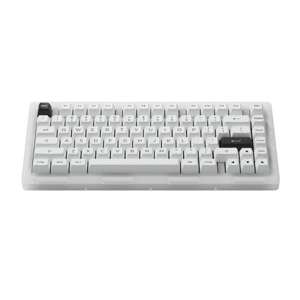 AKKO ACR Pro 75 RGB Hot-Swappable Mechanical Keyboard (Akko Crystal ...