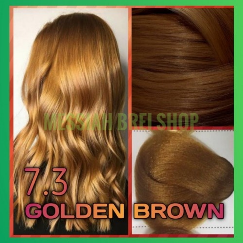 BREMOD 7.3 Golden Brown Set with Oxidizer | Shopee Philippines