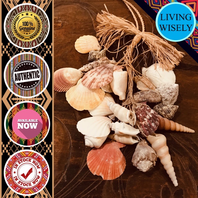 Hanging Seashells (Used in Camino de Santiago Pilgrimage) | Shopee ...