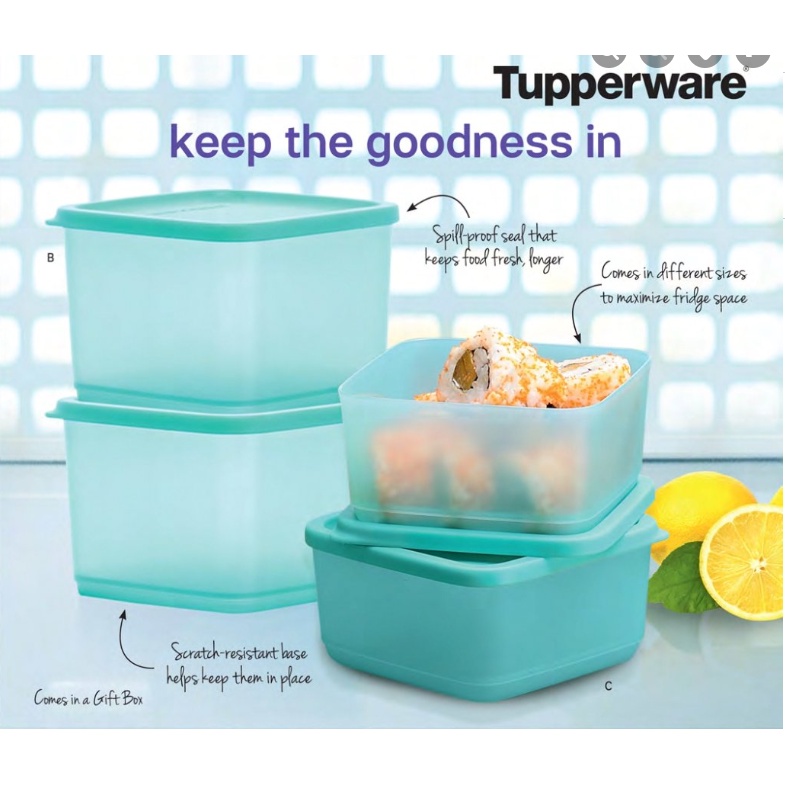 Tupperware 2-pc. Square Rounds | Shopee Philippines