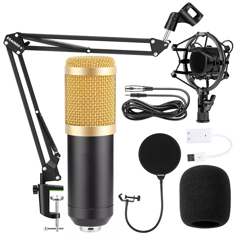 Bm800 Professional Suspension Microphone Kit Studio Live Stream Broadcasting Recording Condenser ...