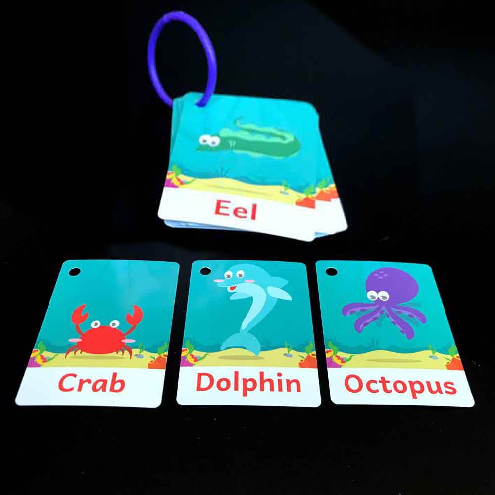 Baby Learning English Word Laminated Pocket Card Children Educational ...