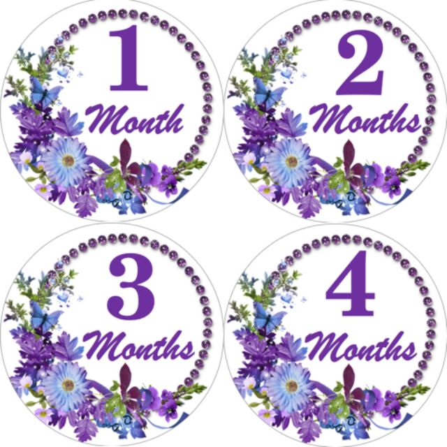 12 Months Baby Milestone Stickers | Shopee Philippines