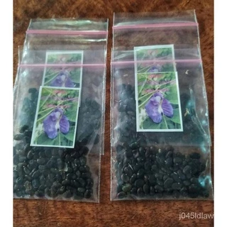 blue ternate - Best Prices and Online Promos - Jul 2024 | Shopee ...