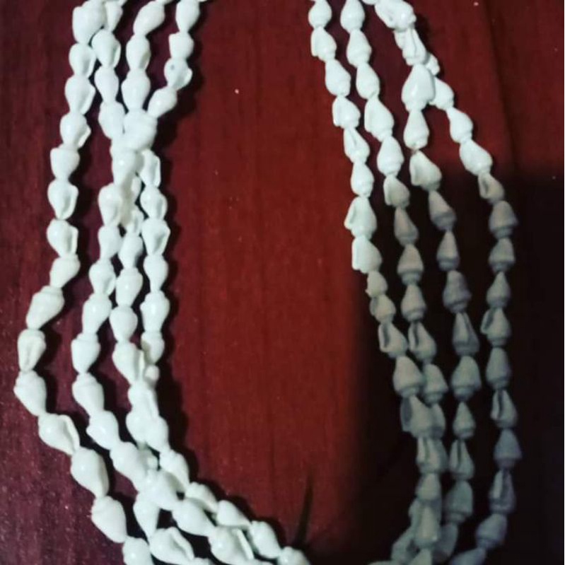 Craft DIY Beads Natural Conch Shell,Sigay Shells bead charm Accessories ...