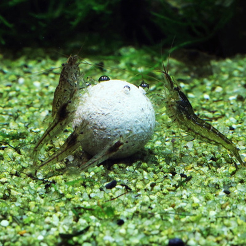 23pcs Nitrifying bacteria Bio Bacterial Ball Aquatium fish tank ...