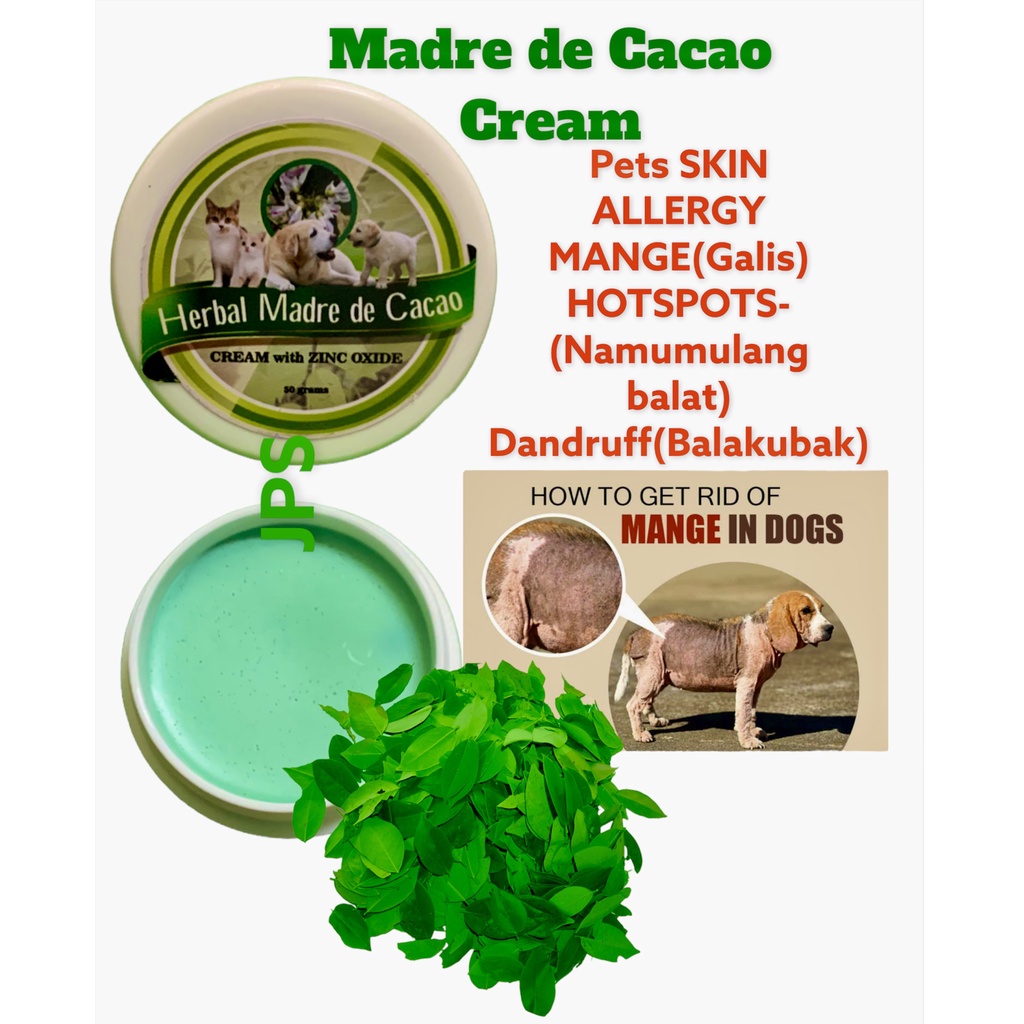 MADRE DE CACAO HEALING MANGE OINTMENT FOR DOG CAT RABBIT GALIS ...