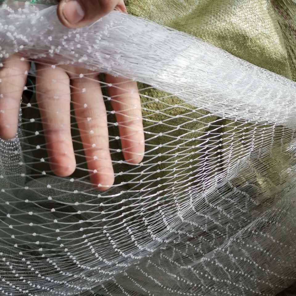 Agricultural Nylon Anti-Bird Net Anti-Insect Net Grape Grain Orchard ...