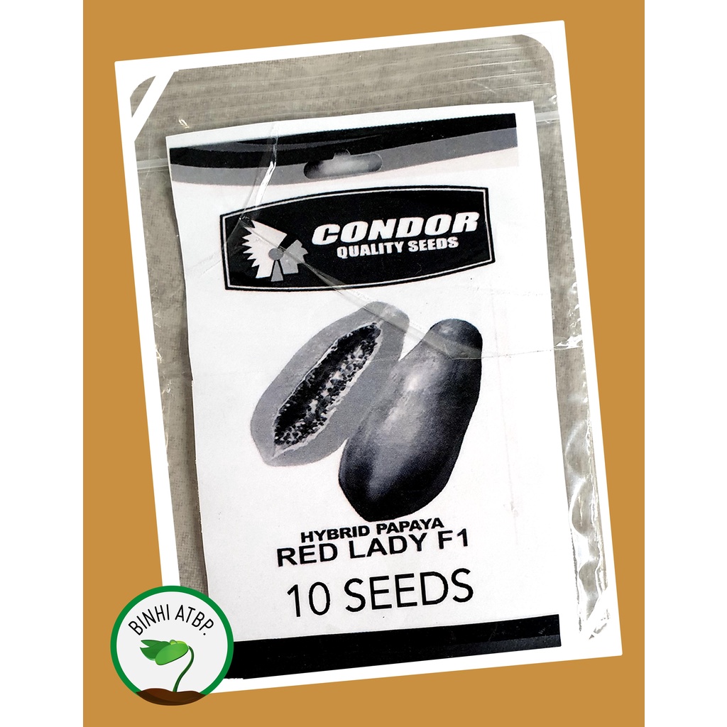 Condor Hybrid Papaya Red Lady F1 Seeds (Repacked - 10 Seeds Pack ...