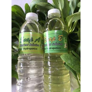 2024 SNAP Nutrient Solution from UPLB (500ML Solution A and 500ML ...