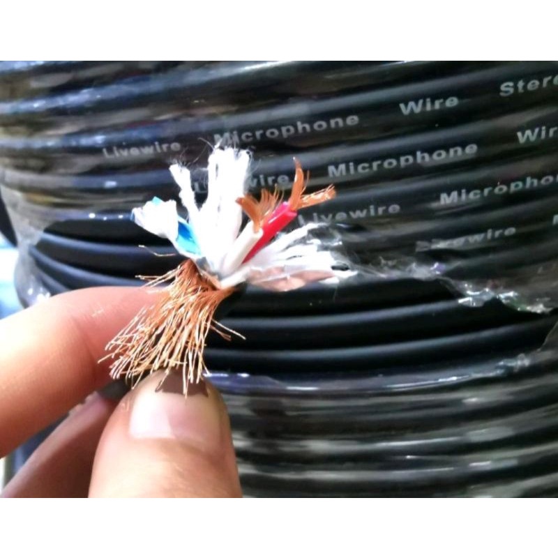QUANTUM CABLE MICROPHONE WIRE HEAVY DUTY (10 METERS.) | Shopee Philippines