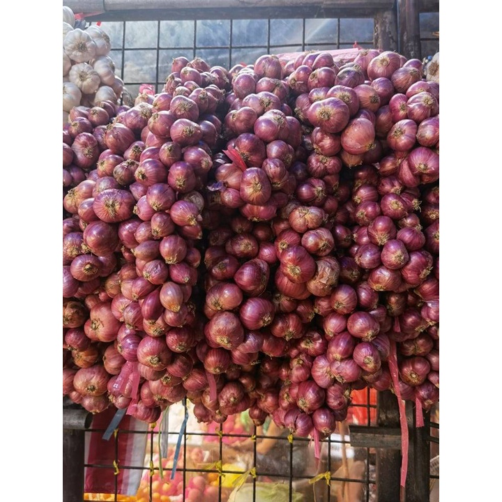 native onion sibuyas 1 kg organic and free from chemicals (more ...