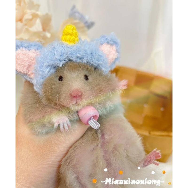 Hamster Hat Clothes Golden Bear Shape Cute Little Hat Ferret Hats, Hand ...