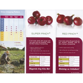 RED PINOY VARIETY ONION SEEDS (400g) - EAST-WEST SEED ( SIBUYAS ...