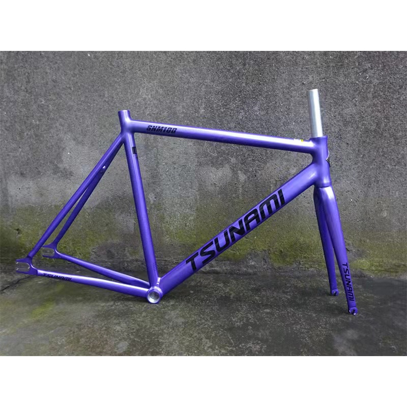 Tsunami SNM100 2021s Track Frame Set (55cm) | Shopee Philippines