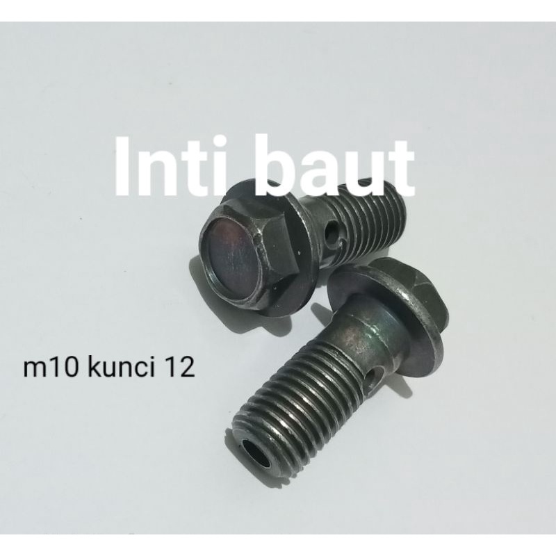 Nepel m10 brake hose contains 10 pcs | Shopee Philippines