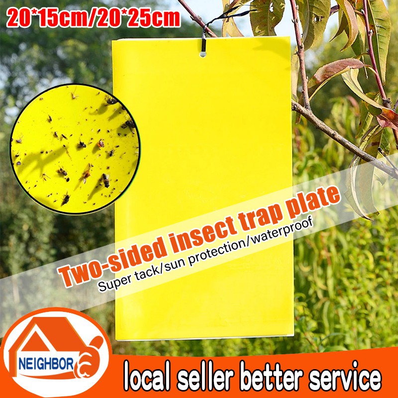 【In Stock】Strong Flies Traps Bugs Sticky Board Yellow Double-Sided ...