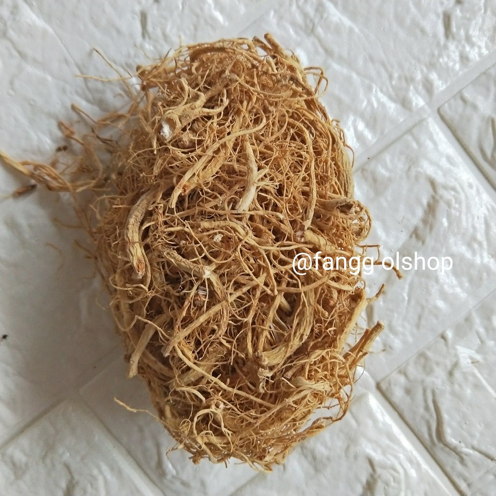 Ginseng Root Yang Shen Xu/ Som Chiu Somchiu Somciu/ Jong Sem Si ...