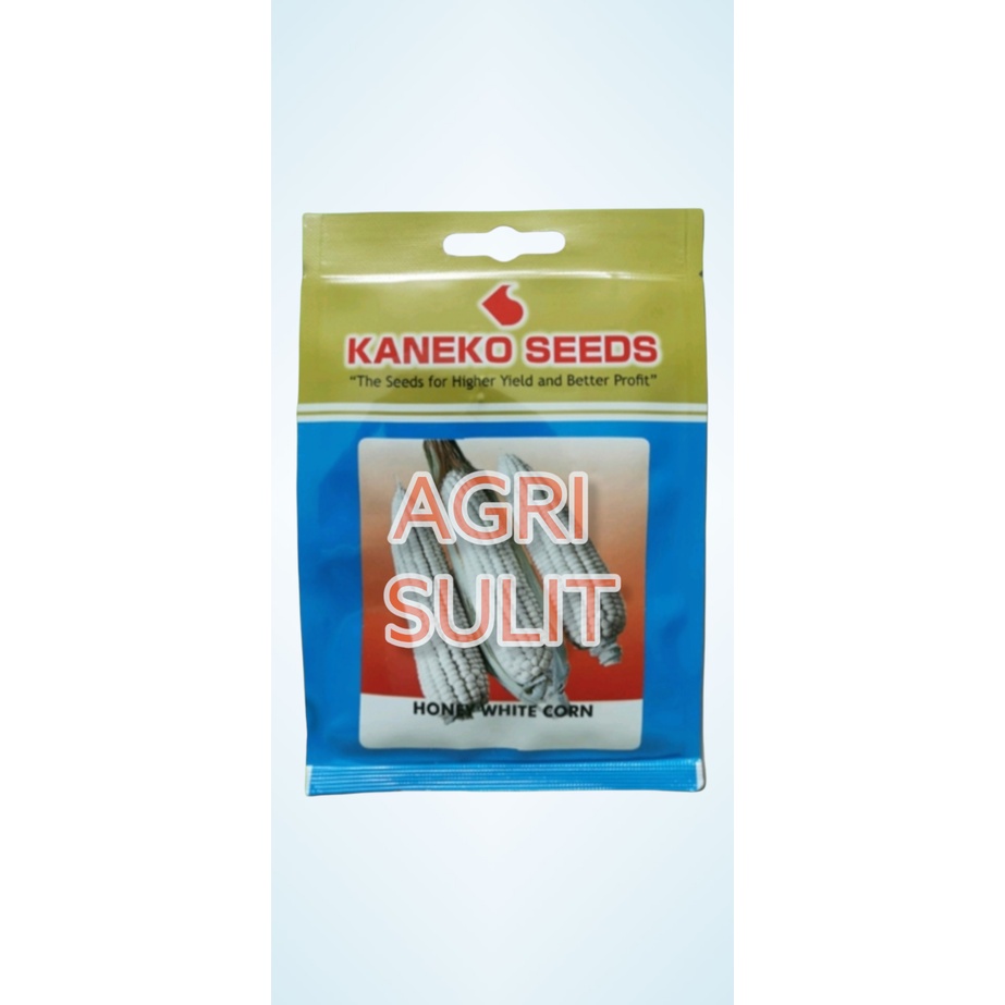 HONEY WHITE CORN LAGKITAN CORN 51 SEEDS (KANEKO SEEDS) | Shopee Philippines