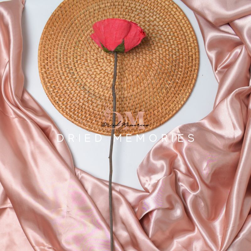 Dried FOSSILIZED Flowers (1 piece) Real Roses Gift Wedding Party Home ...