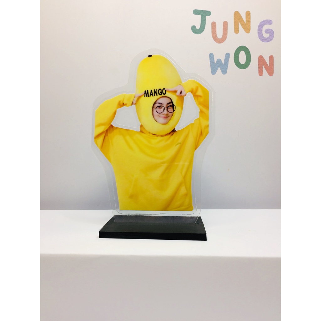 ENHYPEN Laminated Standee Meme Table Decor | Shopee Philippines