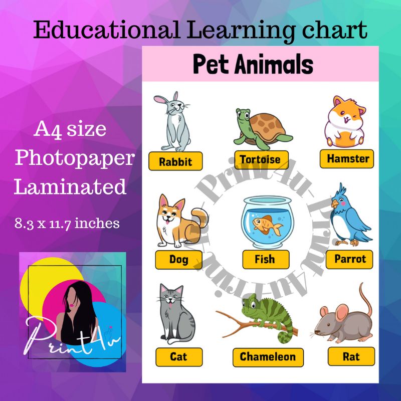 Pet Animals Laminated chart for kids A4 | Shopee Philippines