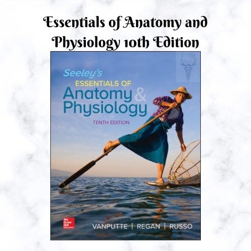 Seeleys Essentials Of Anatomy And Physiology 10th Ed Shopee Philippines
