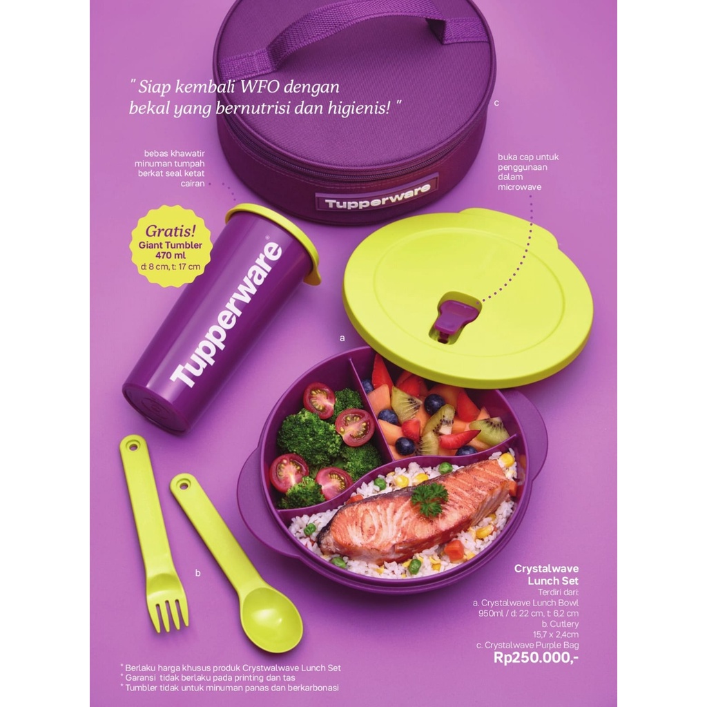 Tupperware Crystal Wave lunch Set (Place Of lunch/lunch box/Spoon/Fork ...