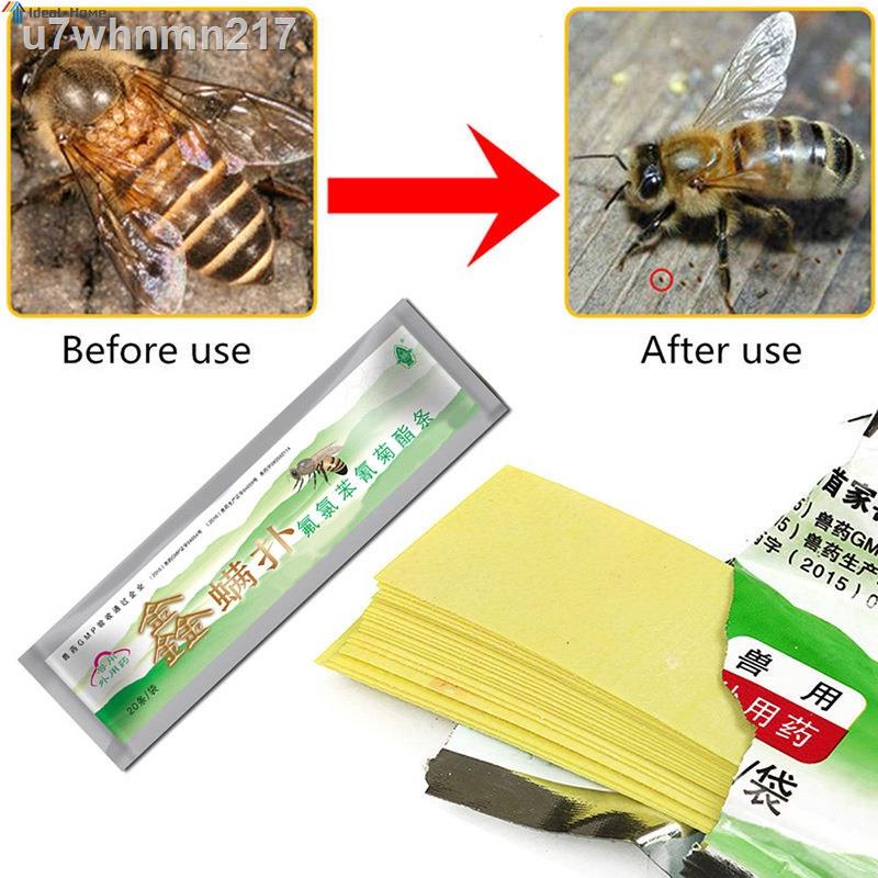 20 Pcs/Bag Beekeeping Fluvalinate Mite Killer Tool Pest Control Varroa ...