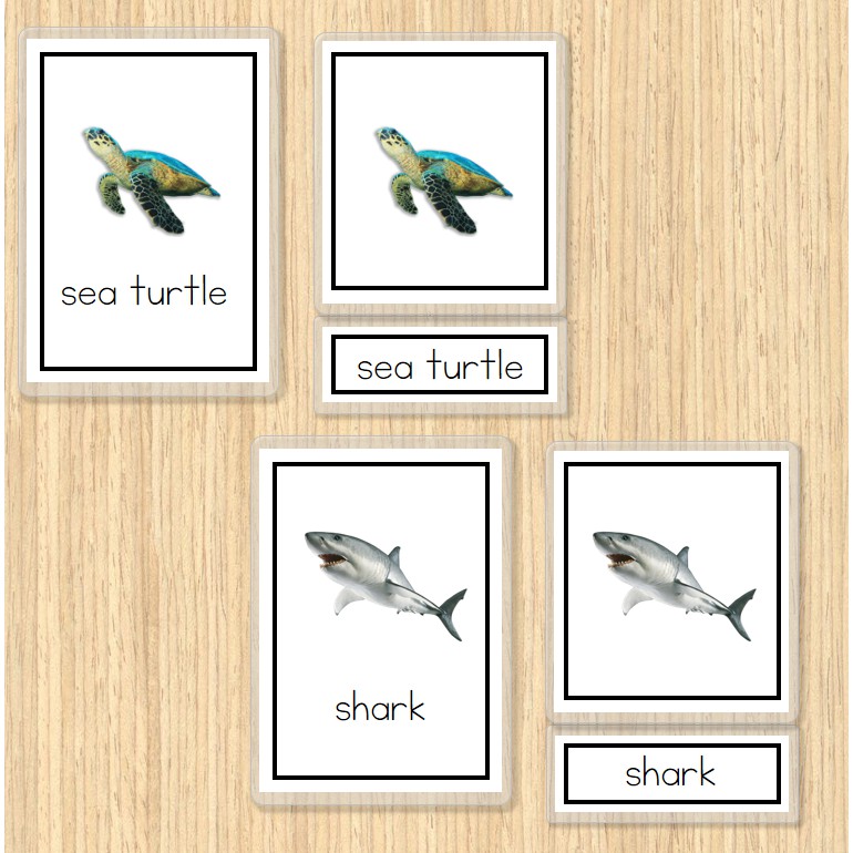 Ocean Animals - Montessori Three-Part Cards / Nomenclature - Marine ...