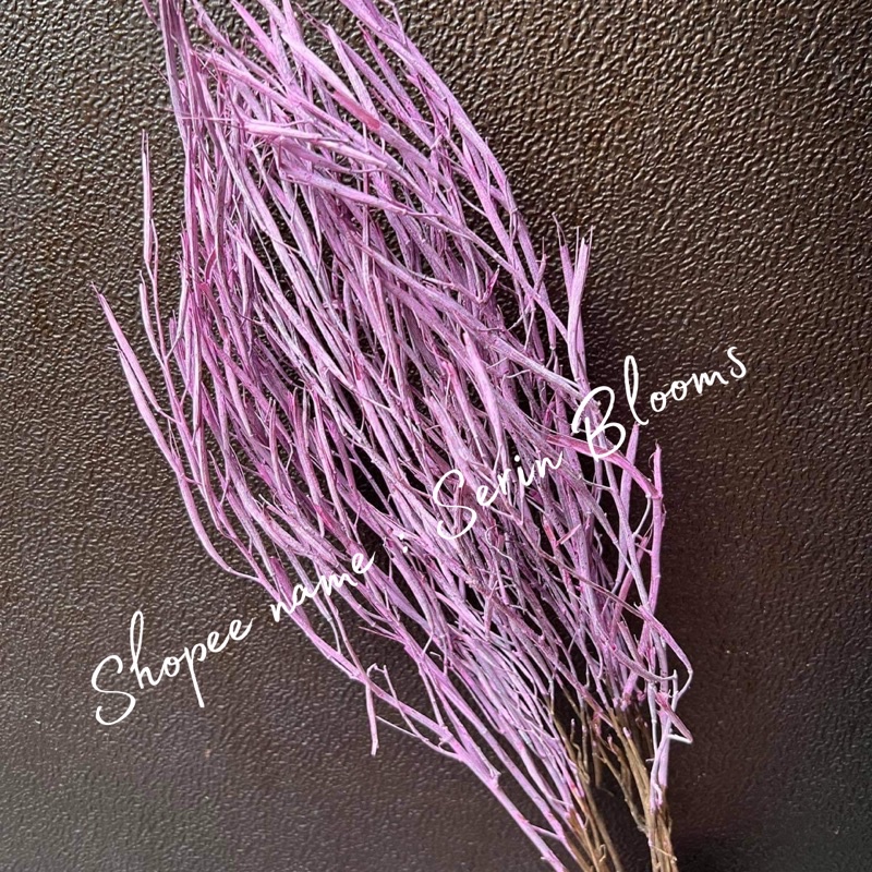Local Dried Twigs sold per bundle | Shopee Philippines