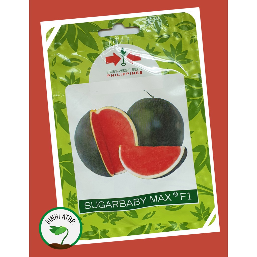 East-west Sugar Baby Max F1 Watermelon Seeds (1 Pack - 40 Seeds ...