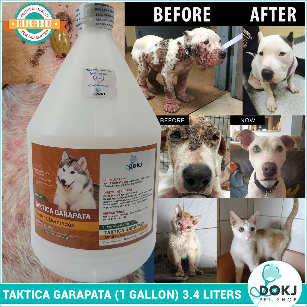 1 Gallon TAKTICA GARAPATA Amitraz Dermadex Medication Dogs Wash or ...