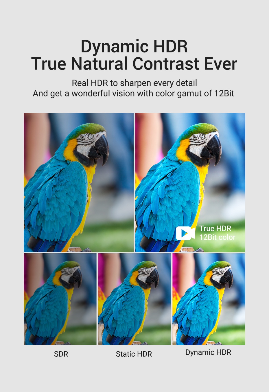 Vention HDMI Cable 8K HDMI 2.1 Ultra High Speed 4K/120Hz HDR Cable for ...