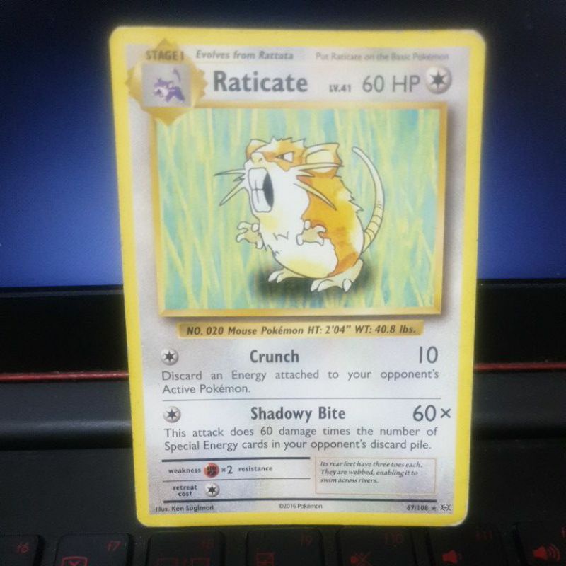 Raticate - 67/108 - Rare XY: Evolutions Singles | Shopee Philippines