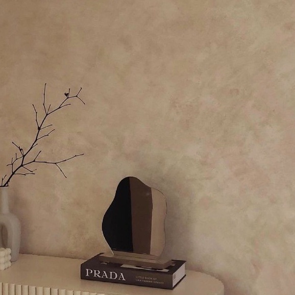 Asvesti Limewash Paint 1kg | Shopee Philippines