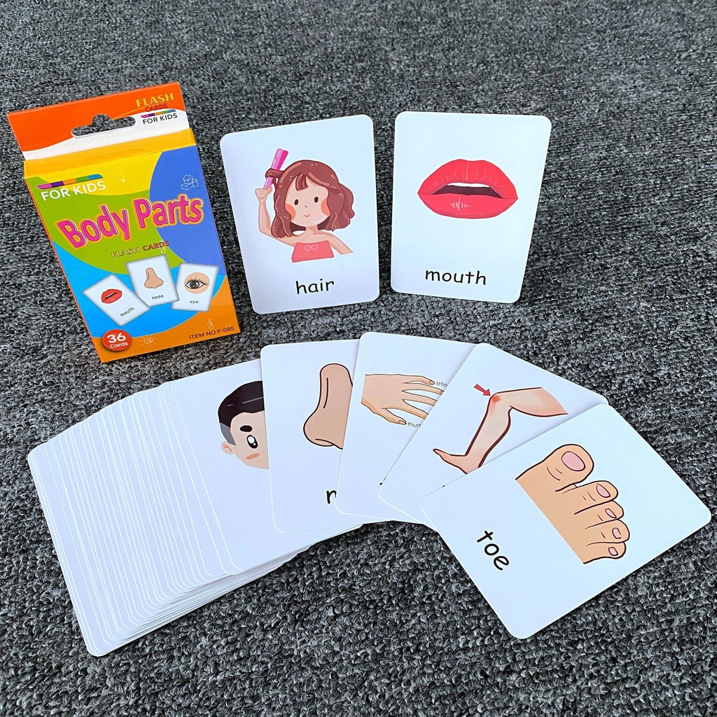 Flash Cards 36 Pieces Double Sided Educational Card Cognitive Learning ...