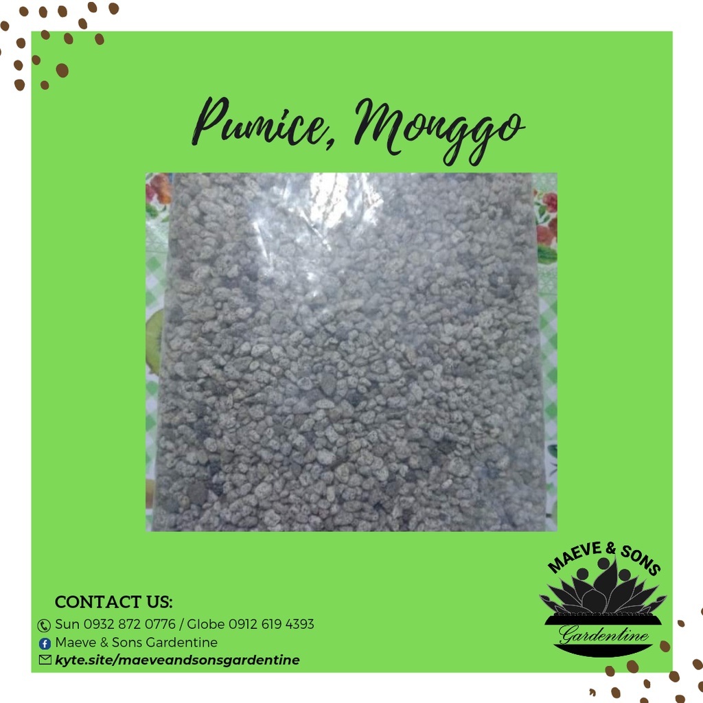Pumice for Cactus and Succulents, Monggo size, 2 kilogram packs by ...