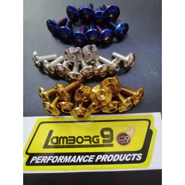 L9 yayamani cnc body bolt 6*15mm for plate number /foot bolt/body bolt ...