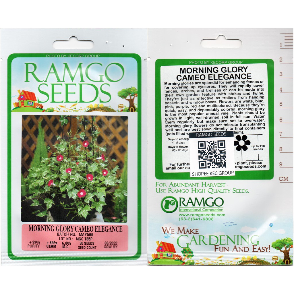 Ramgo RCF Seeds Morning Glory Cameo Elegance (ORIGINAL PACKAGING ...