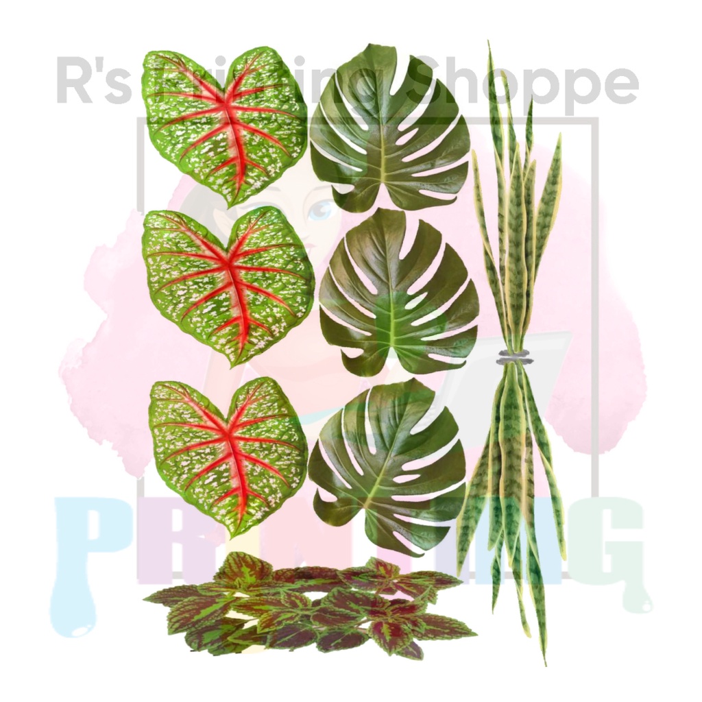 Plantita Cake topper 3 inch per leaves | Shopee Philippines