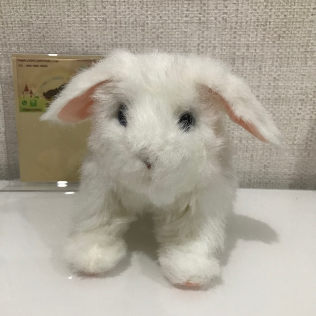 Furreal Friends White Rabbit New Condition. | Shopee Philippines