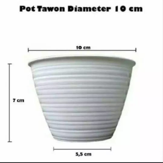 PUTIH [Cla Shop] Wasp POT White Color 10cm | Shopee Philippines