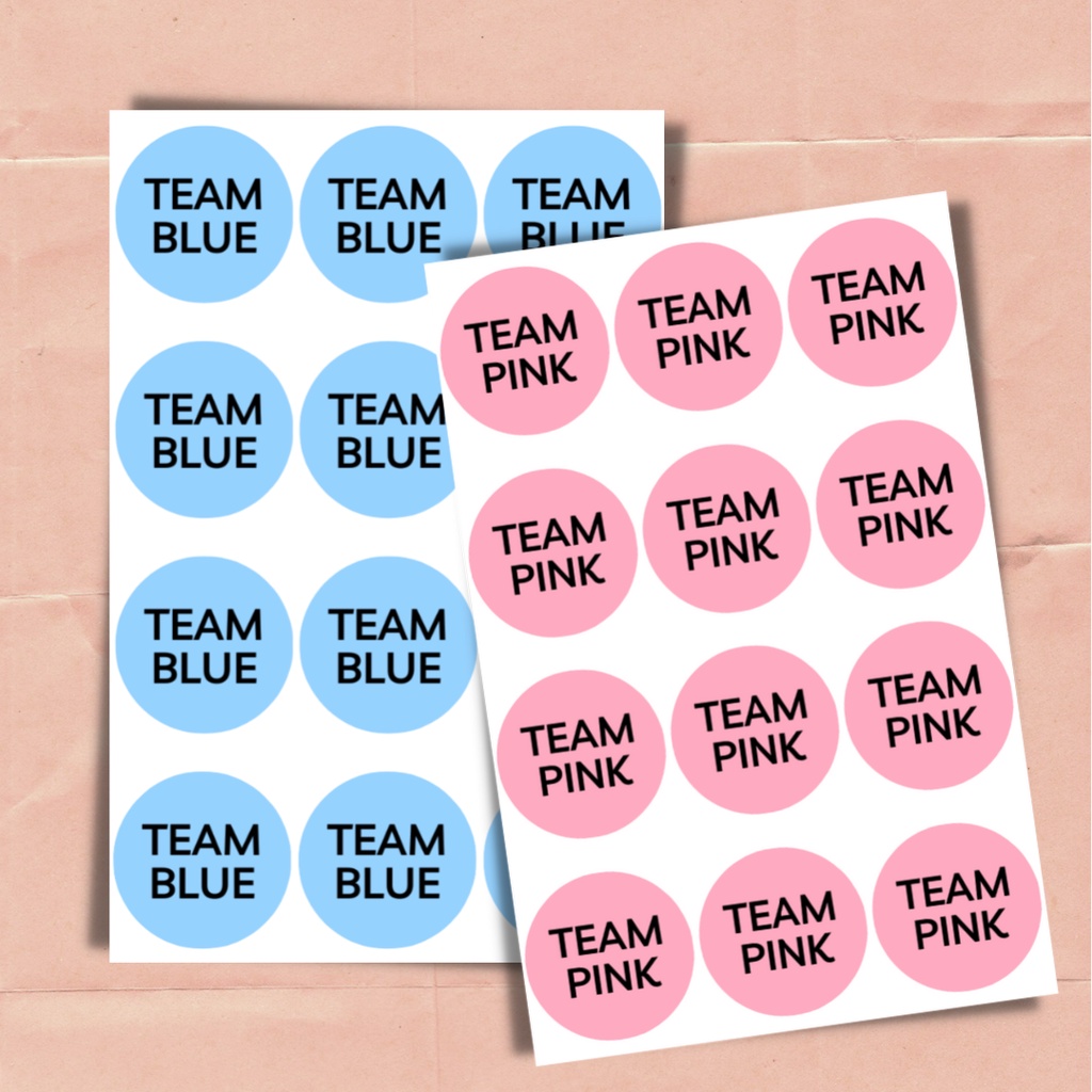 TEAM BLUE TEAM PINK GENDER REVEAL STICKER - Sticker Sheet | Shopee ...