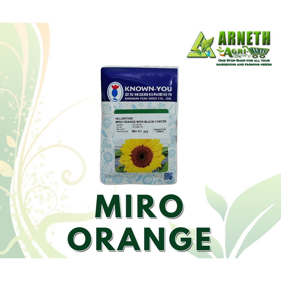 CONDOR SUNBRIGHT KIDS F1 HYBRID SUNFLOWER (DWARF) (500 SEEDS) | Shopee ...